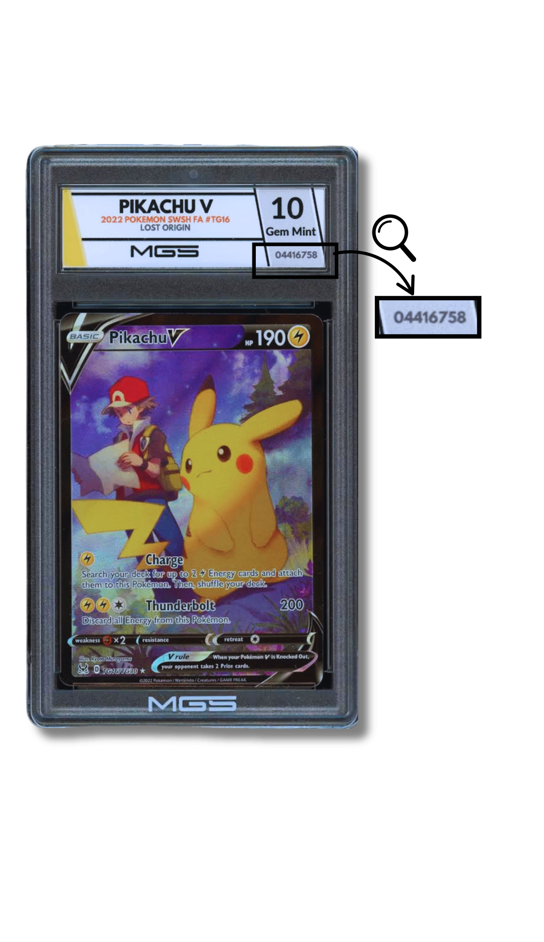 MGS - Modern Grading Solution